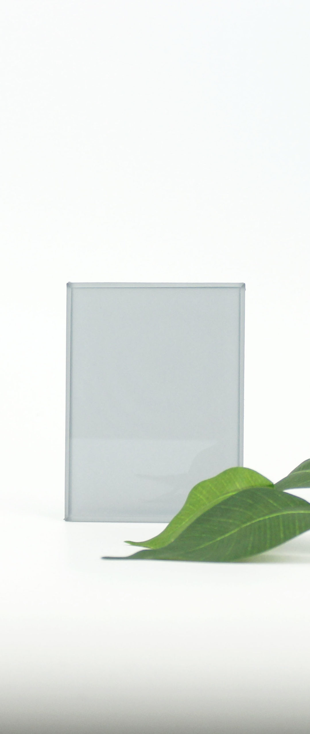 Whale Grey Glass Sample