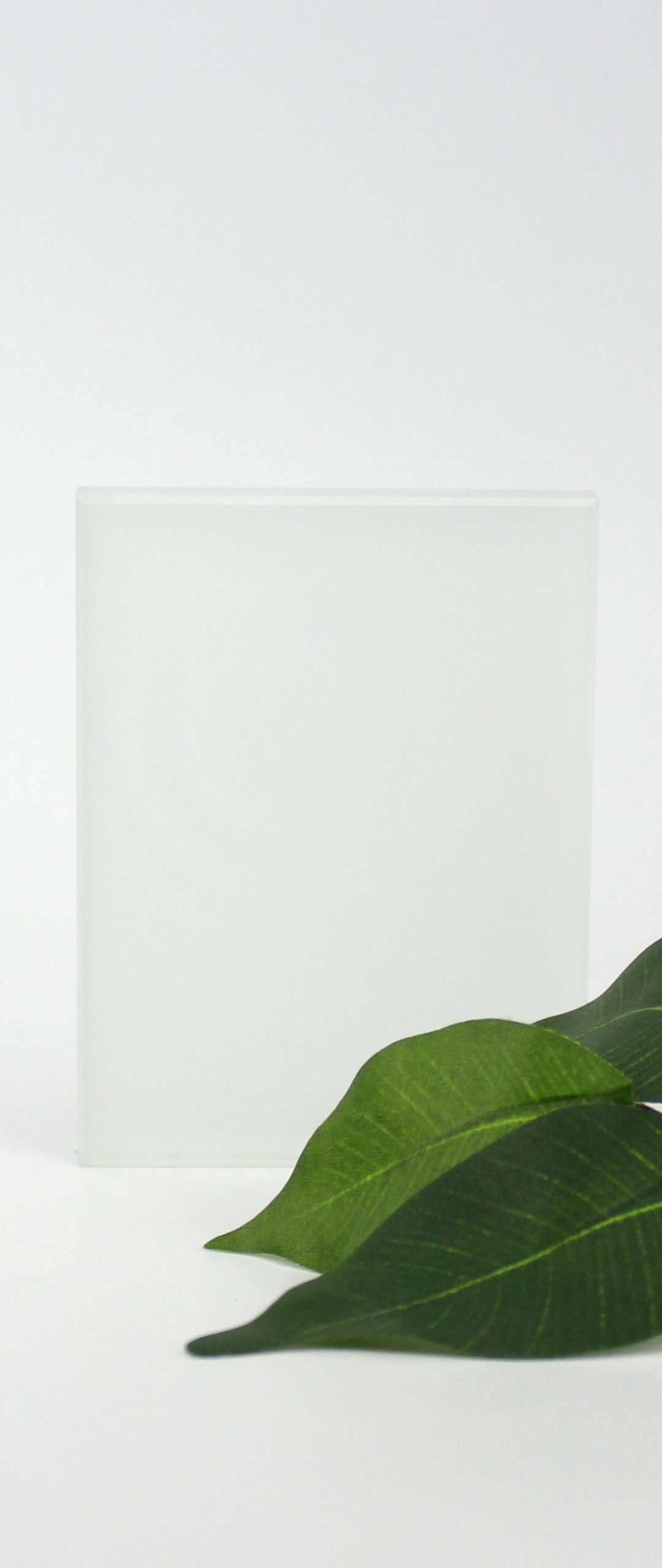 Frost White Sheer Glass Sample